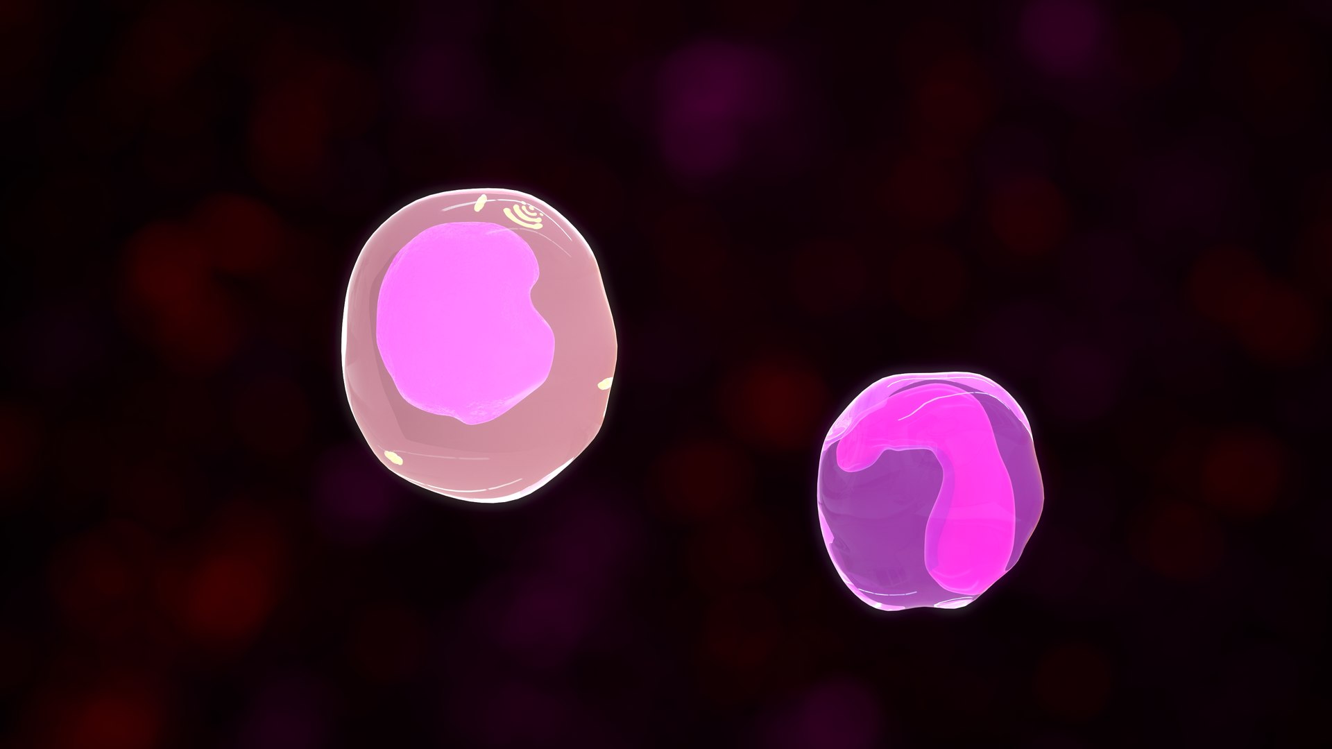 3D Leukocytes model - TurboSquid 2169798