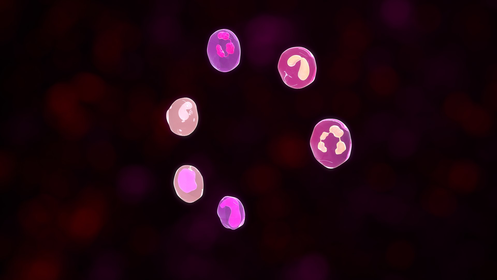 3D Leukocytes model - TurboSquid 2169798