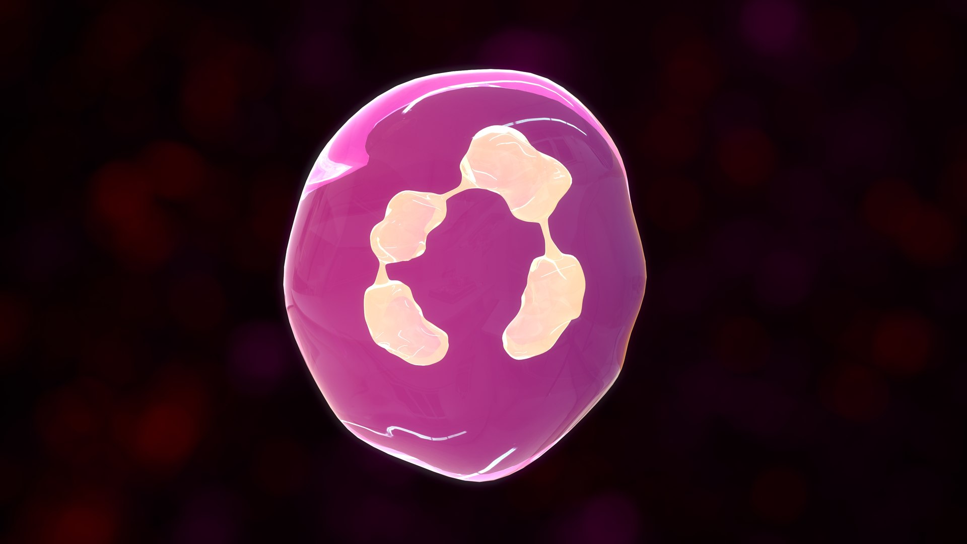 3D Leukocytes model - TurboSquid 2169798