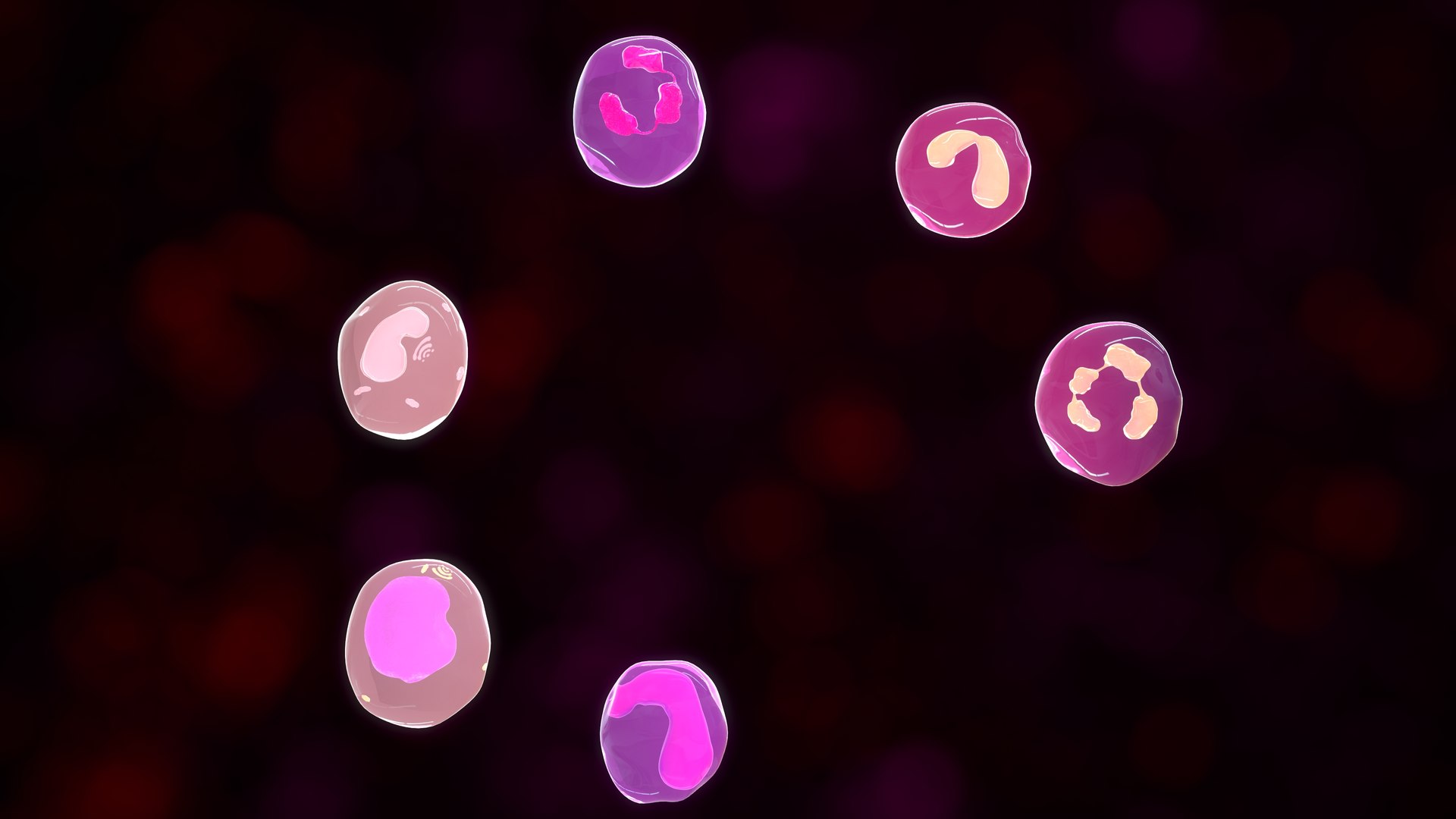 3D Leukocytes model - TurboSquid 2169798