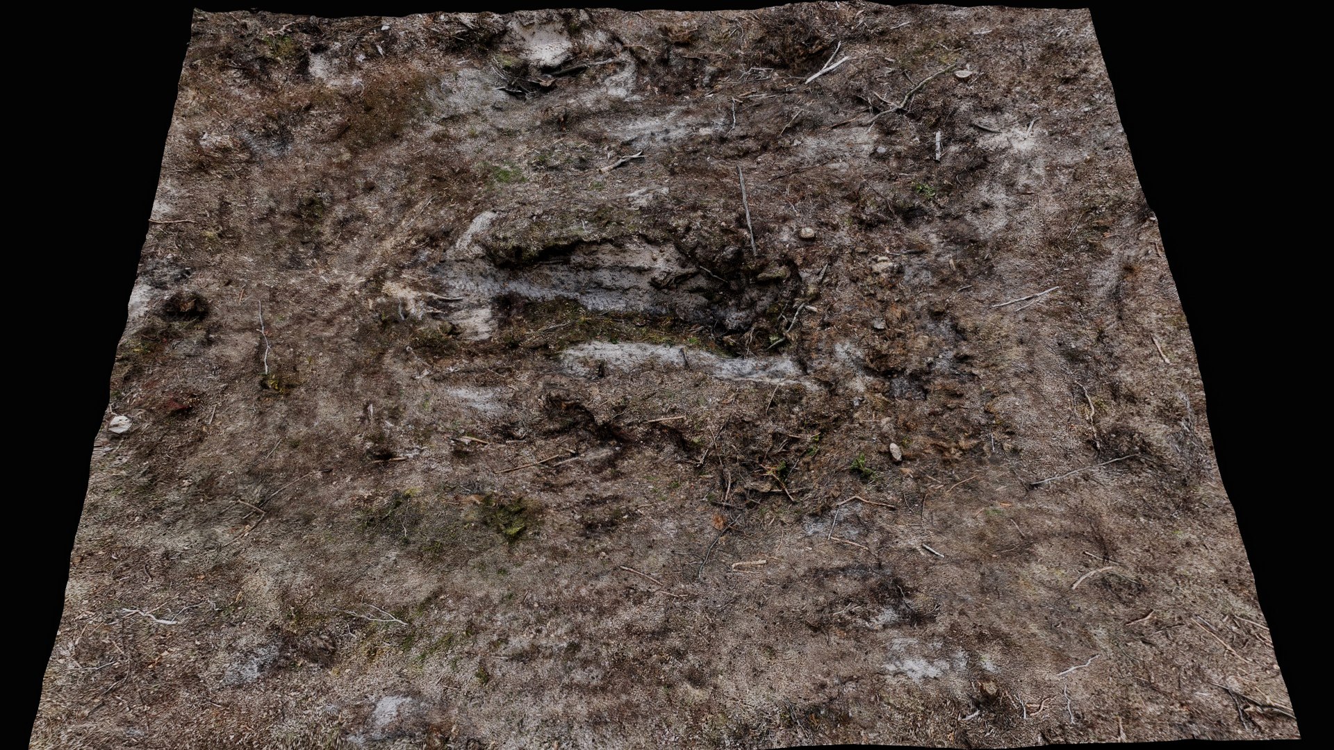 Forest Ground Cutted Trees Terrain Part5 Photogrammetry 3D Model ...