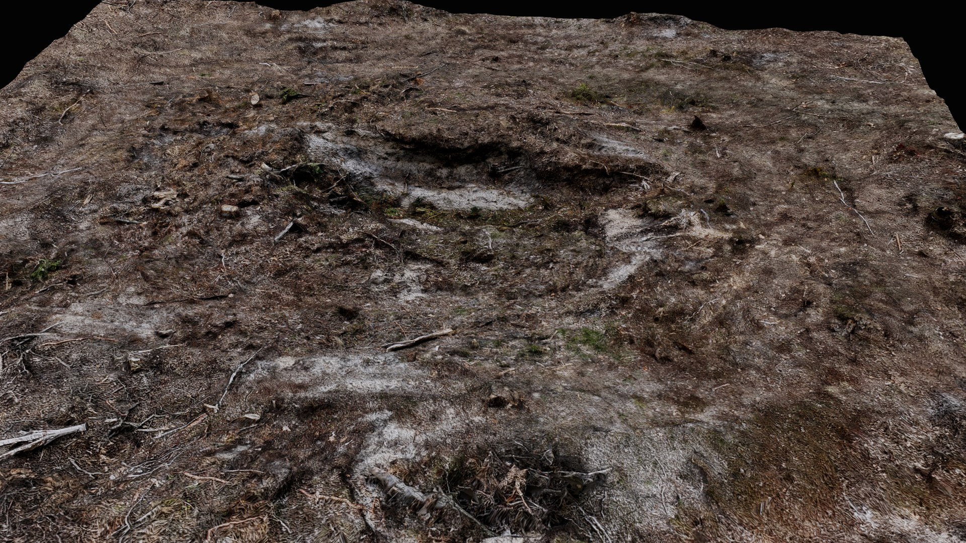 Forest Ground Cutted Trees Terrain Part5 Photogrammetry 3D Model ...