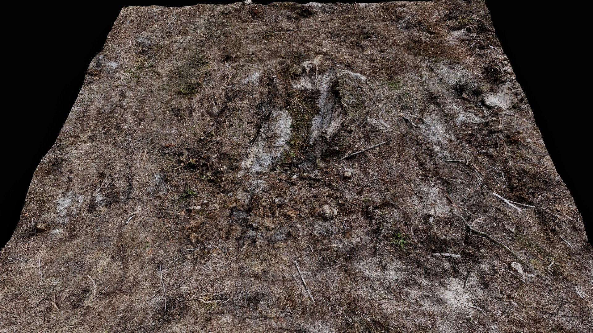 Forest Ground Cutted Trees Terrain Part5 Photogrammetry 3D Model ...