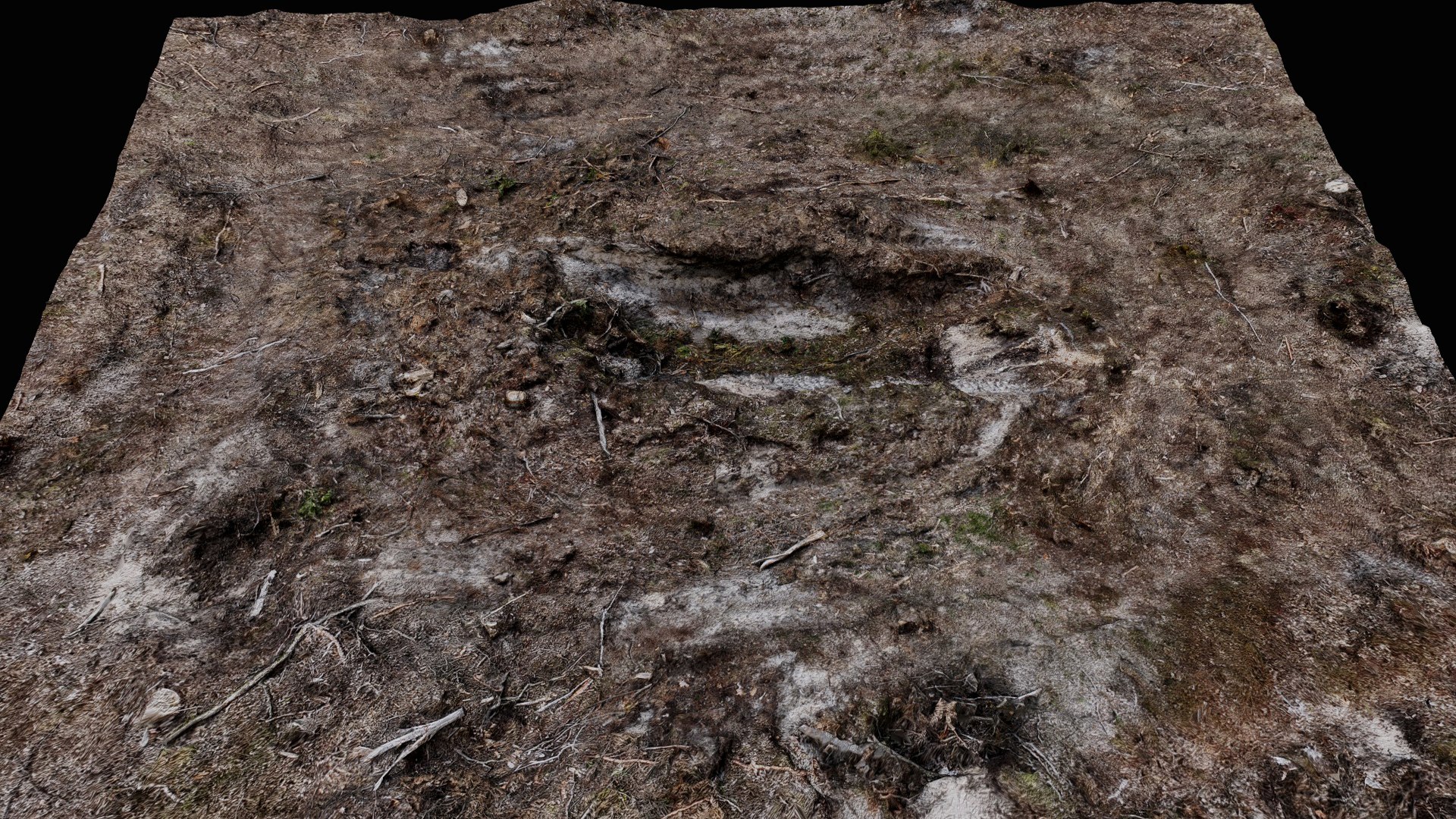 Forest Ground Cutted Trees Terrain Part5 Photogrammetry 3D Model ...