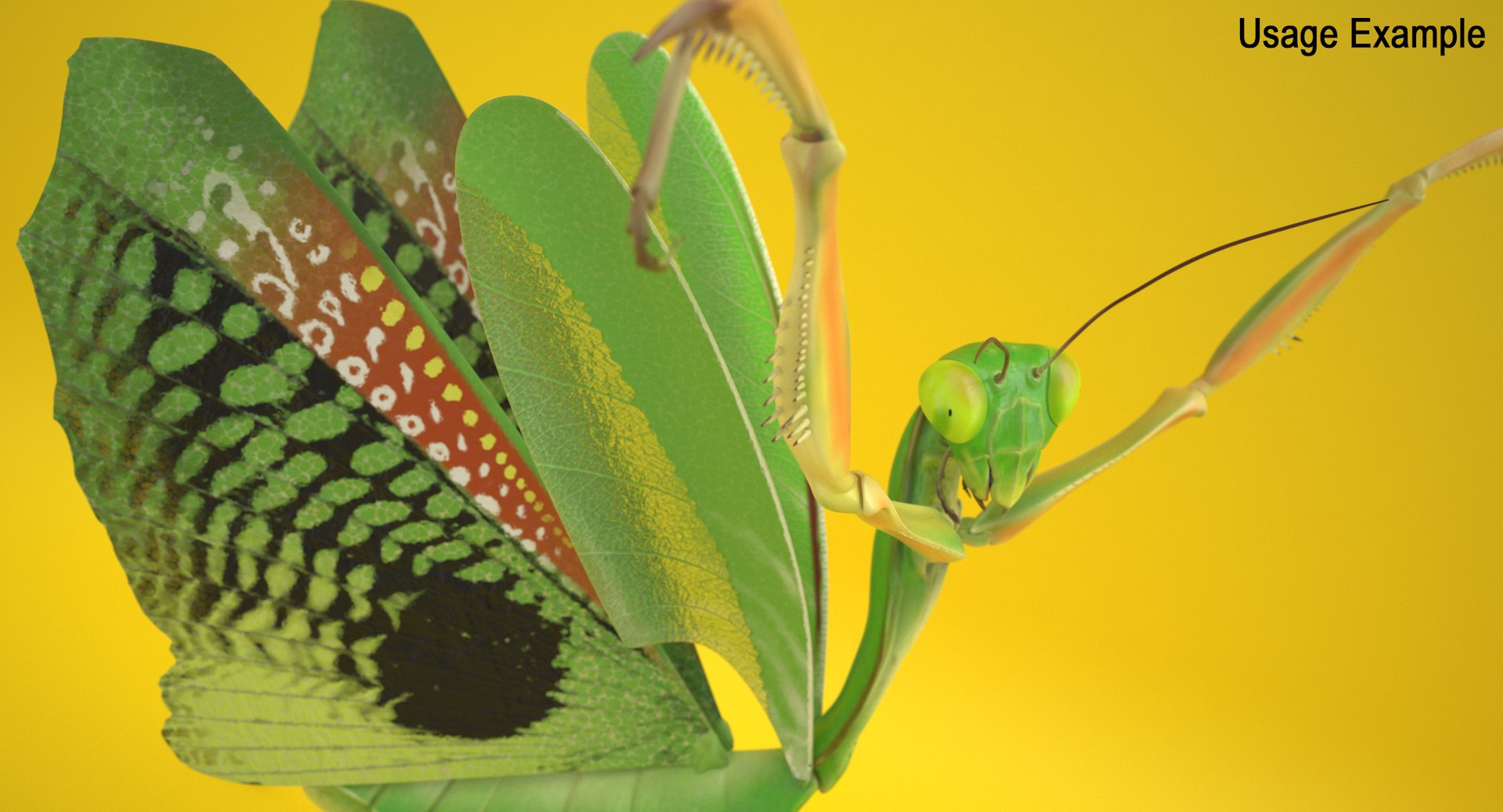 3D Model Praying Mantis Attacking - TurboSquid 1375535