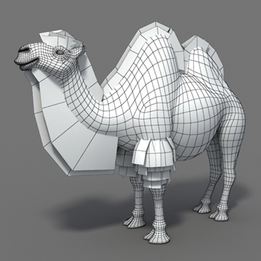 3d Model Bactrian Camel Humps