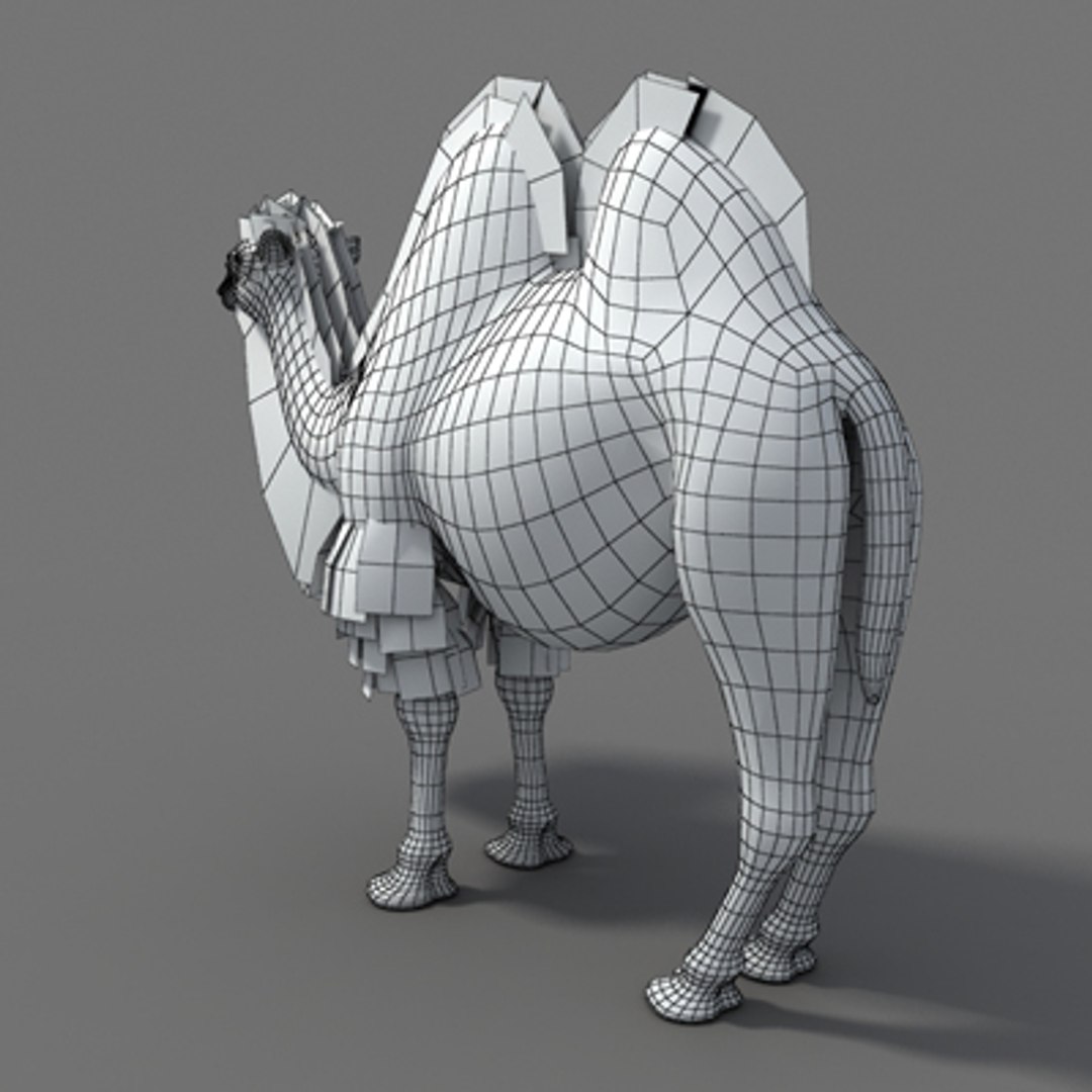 3d Model Bactrian Camel Humps