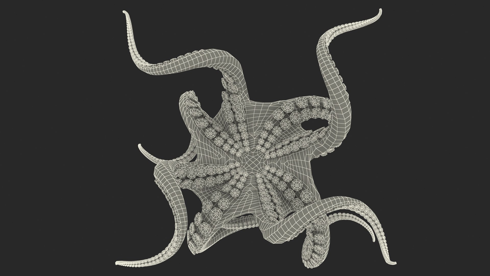 3D Cartoon Octopus Floating Pose - TurboSquid 1971810