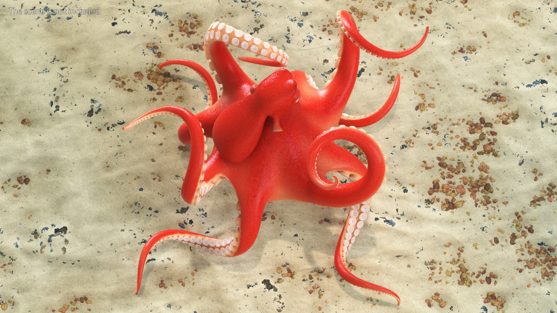 3D Cartoon Octopus Floating Pose - TurboSquid 1971810