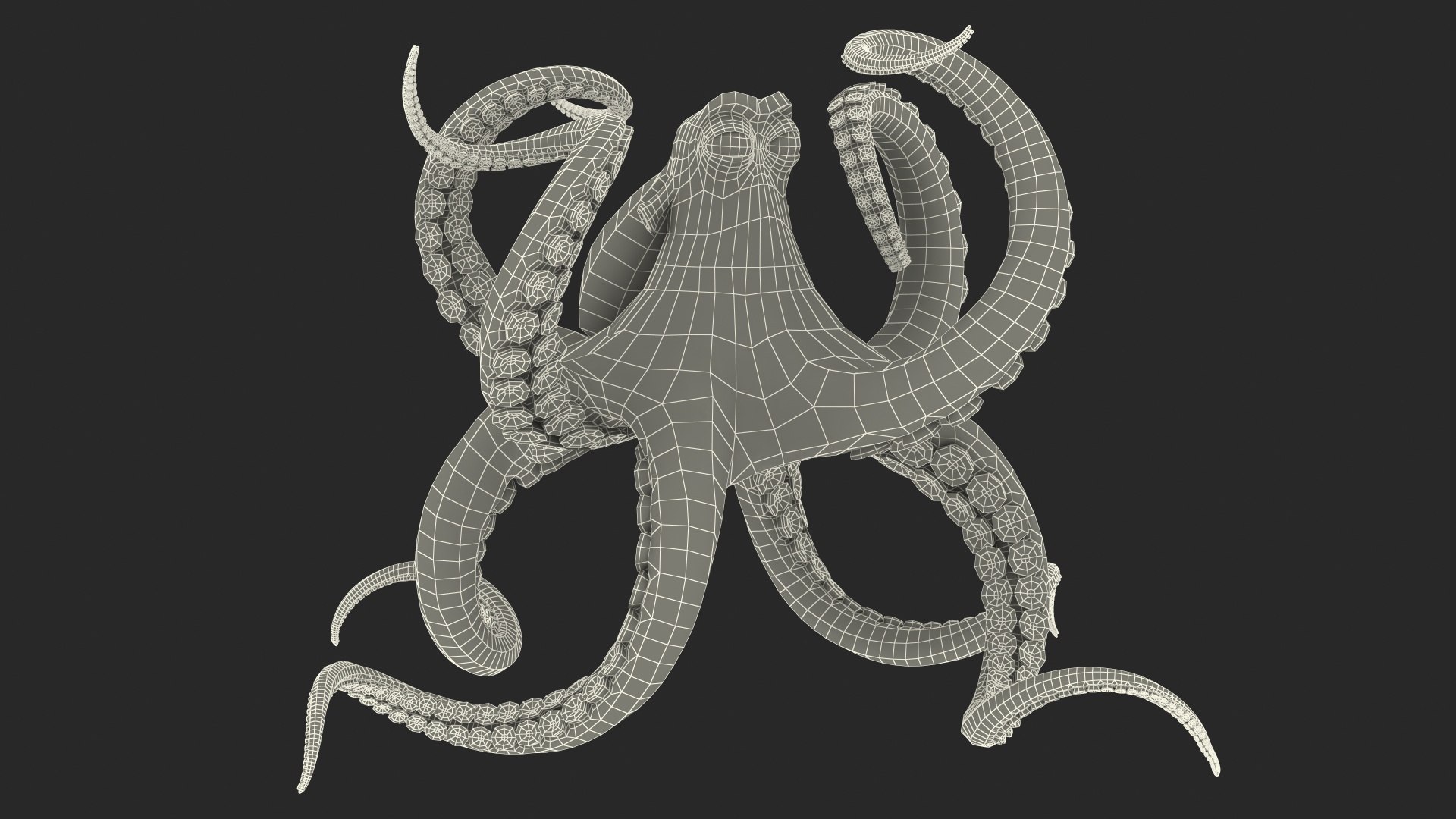 3D Cartoon Octopus Floating Pose - TurboSquid 1971810