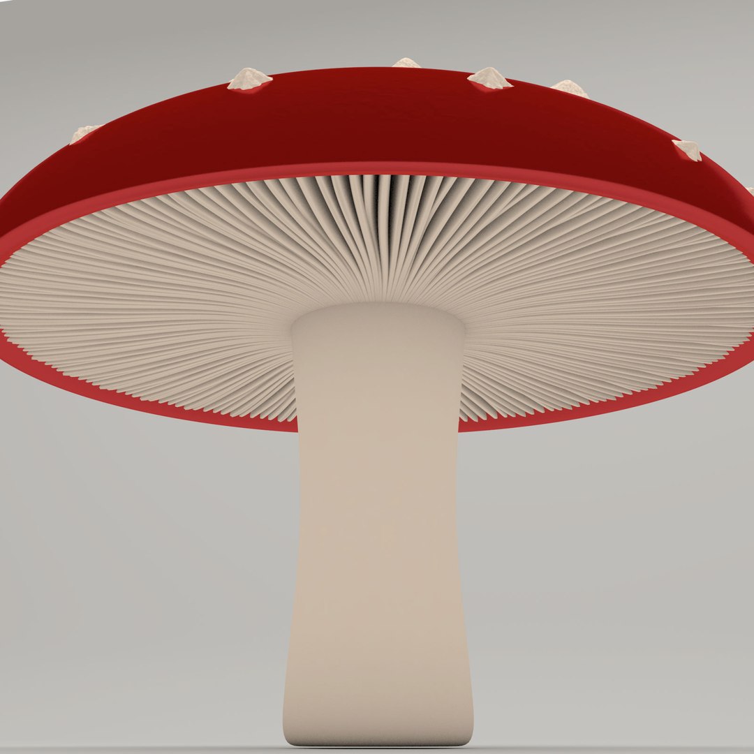 Toadstool Toad 3D Model - TurboSquid 1370366