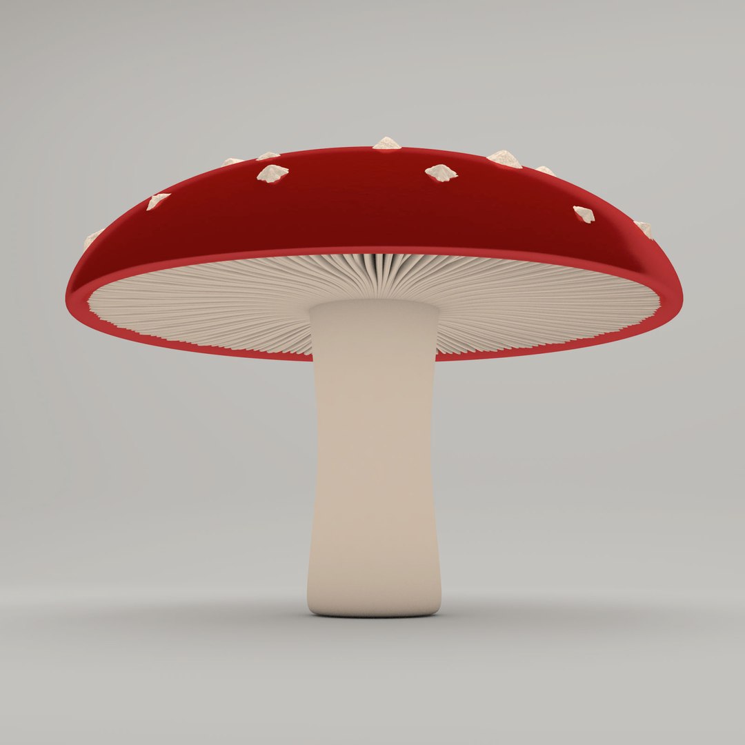 Toadstool Toad 3D Model - TurboSquid 1370366