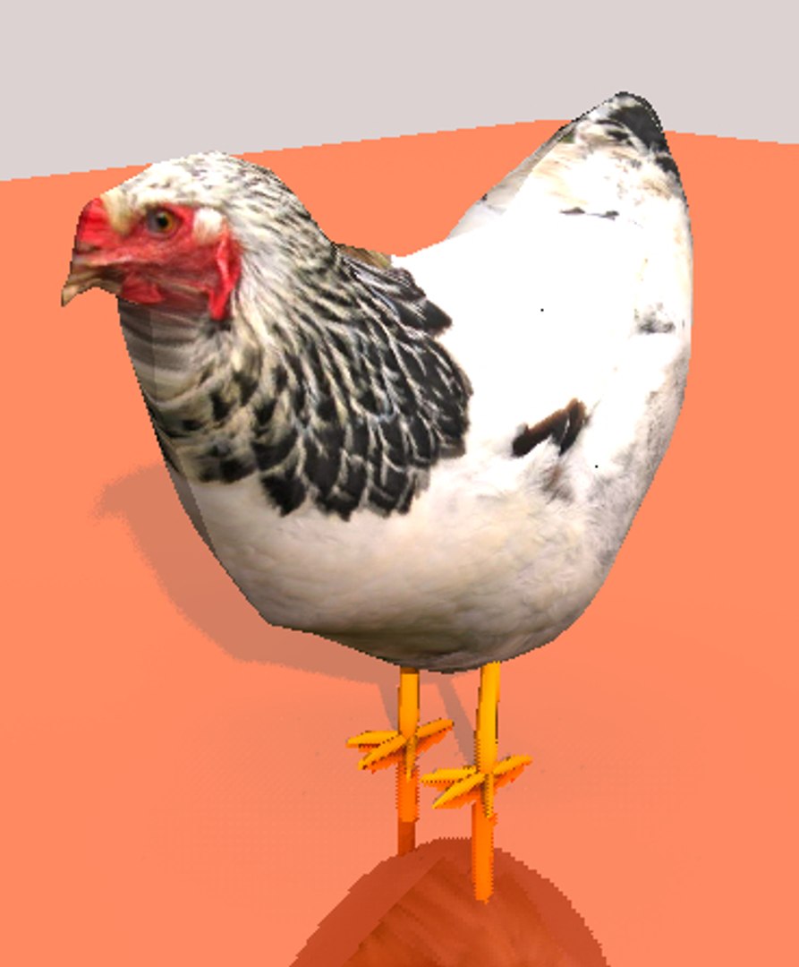 3d Chicken Sketchup