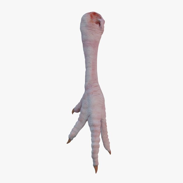 Chicken STL Models for Download | TurboSquid