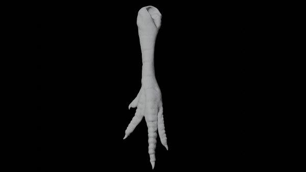 3D модель Chicken Foot - TurboSquid 2034990
