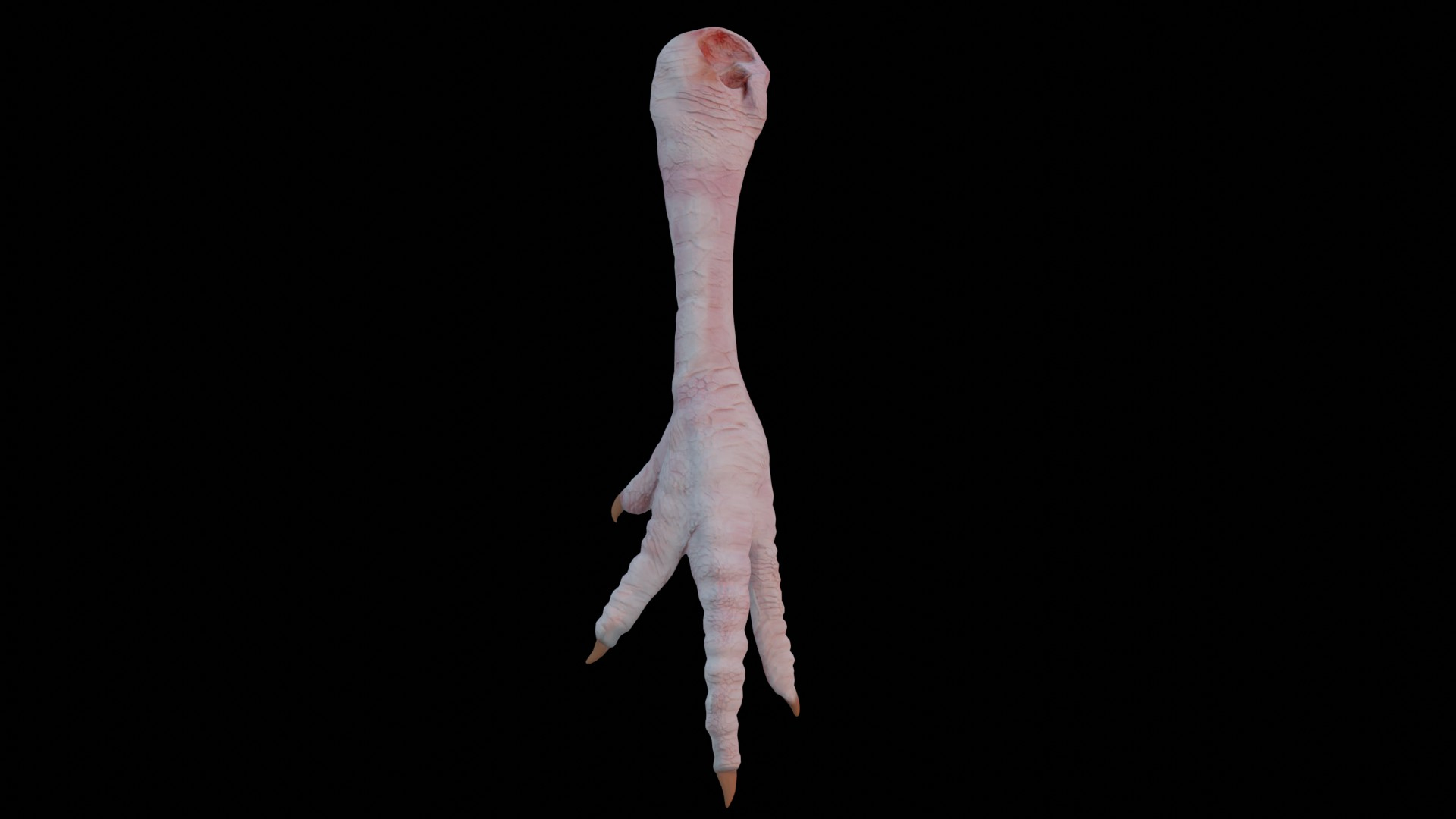 Chicken Foot 3D - TurboSquid 2034990