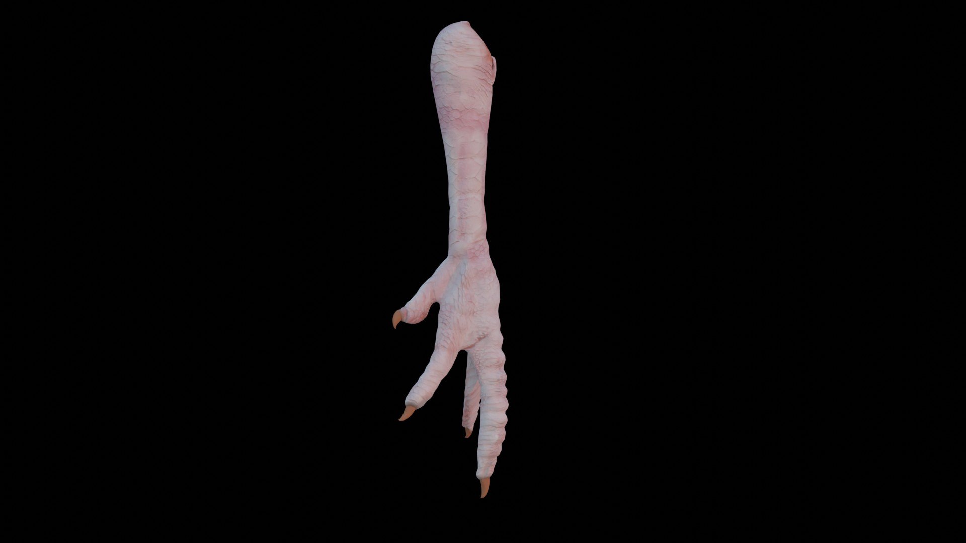 Chicken Foot 3D - TurboSquid 2034990