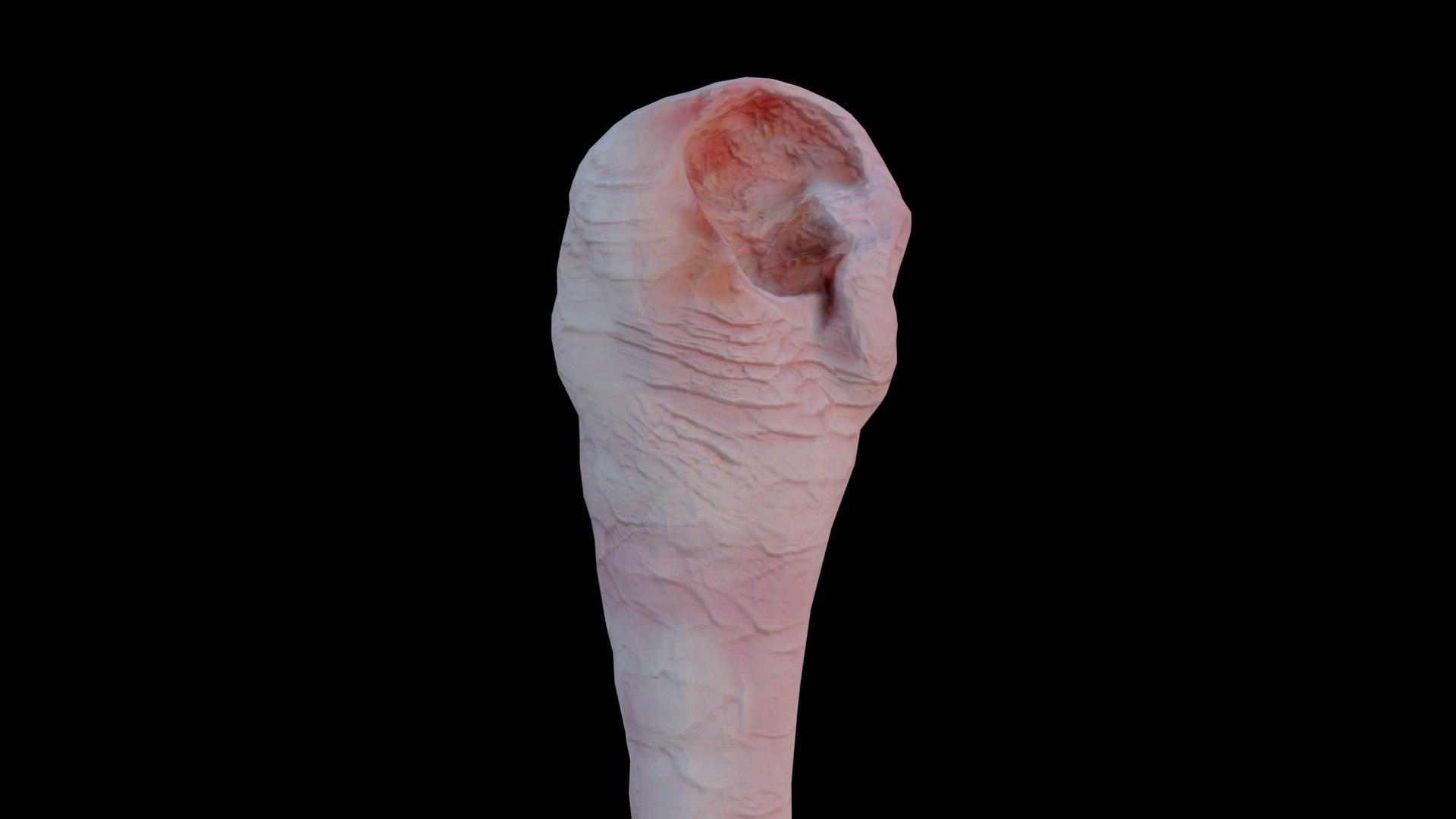 Chicken Foot 3D - TurboSquid 2034990