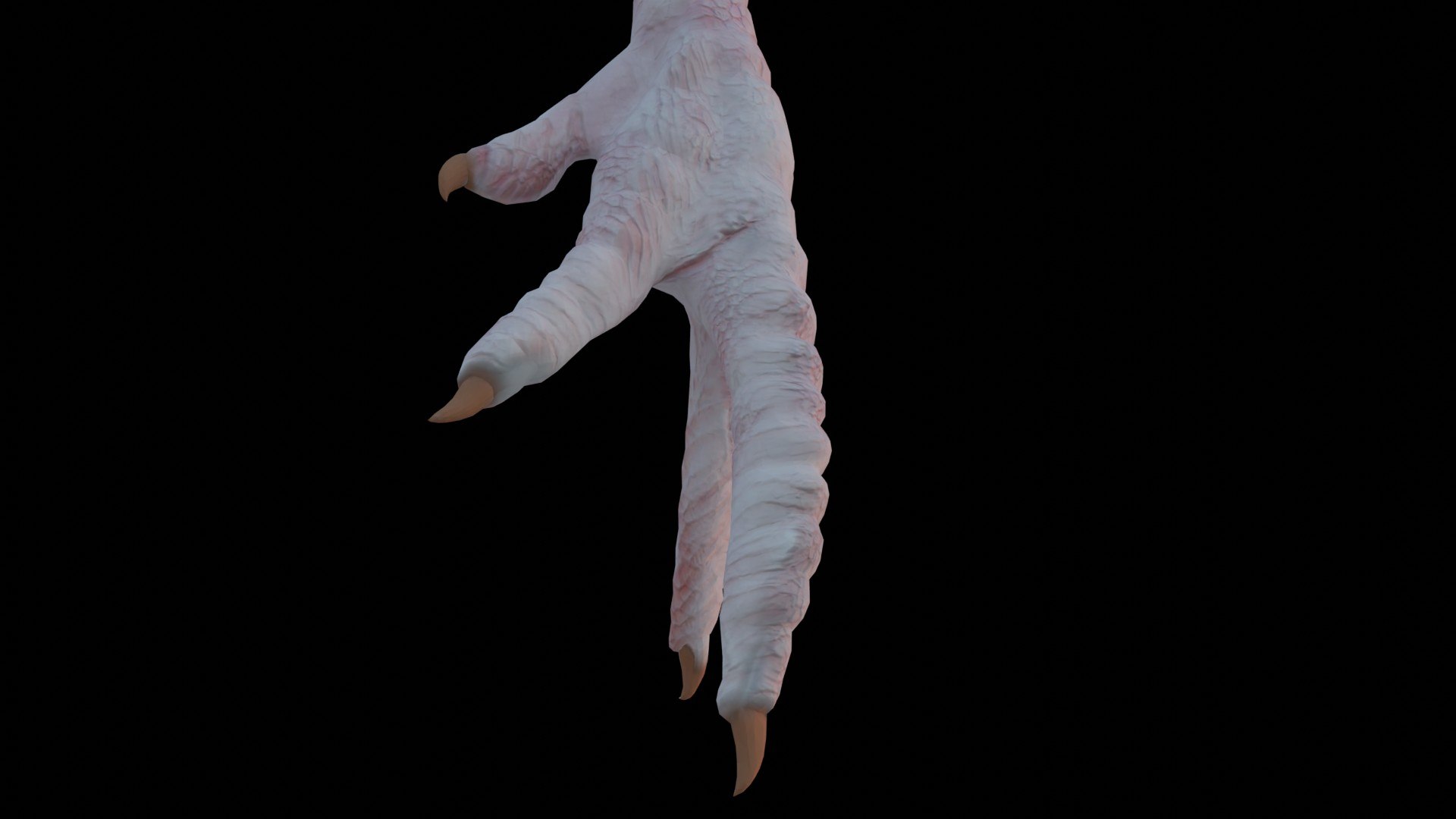 Chicken Foot 3D - TurboSquid 2034990