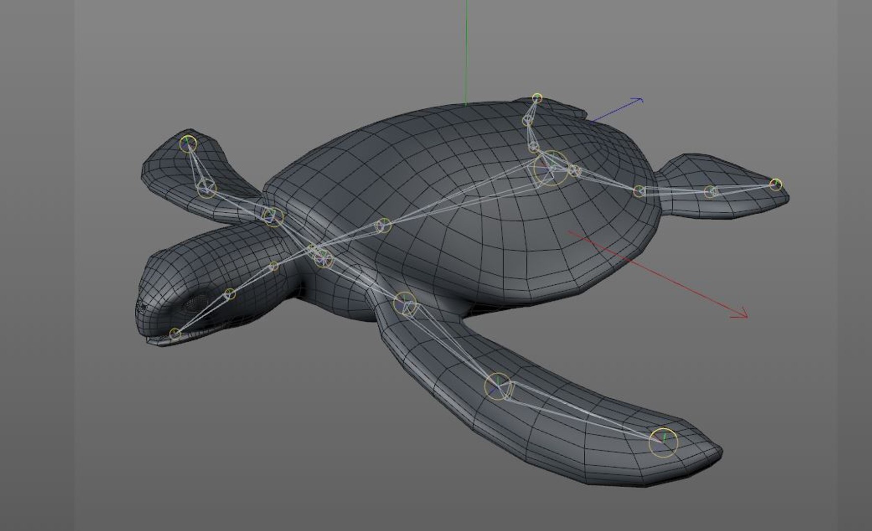 3D Turtle Rigged - TurboSquid 1551946
