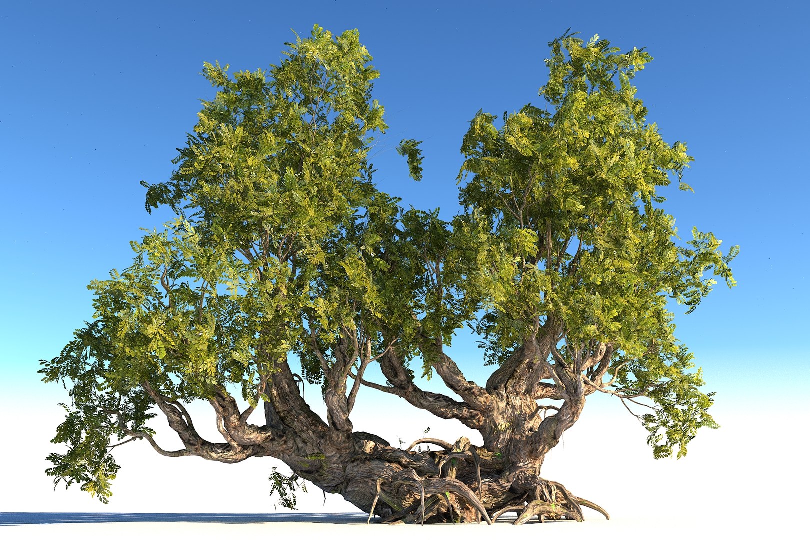 Tree Hd 3D Model - TurboSquid 1529803