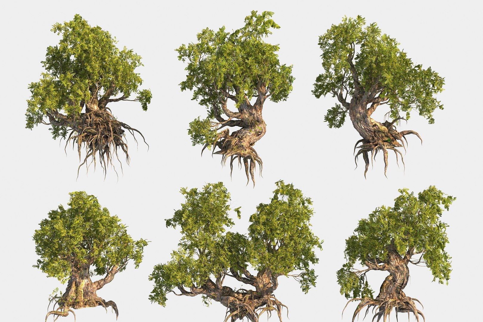 Tree Hd 3D Model - TurboSquid 1529803