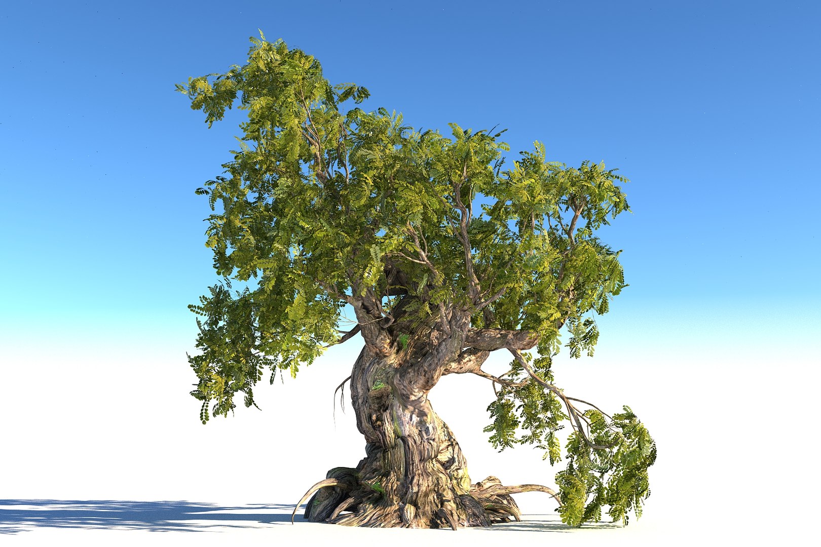 Tree Hd 3D Model - TurboSquid 1529803