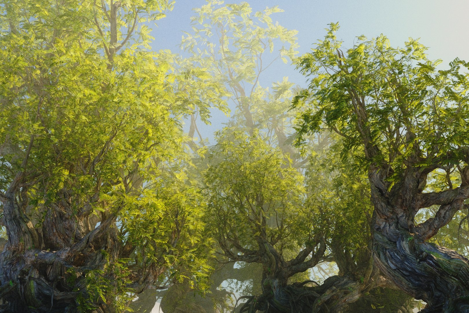 Tree Hd 3D Model - TurboSquid 1529803