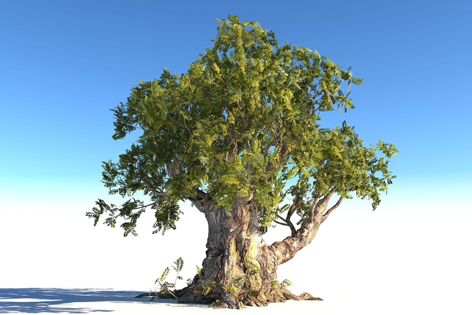 Tree Hd 3D Model - TurboSquid 1529803