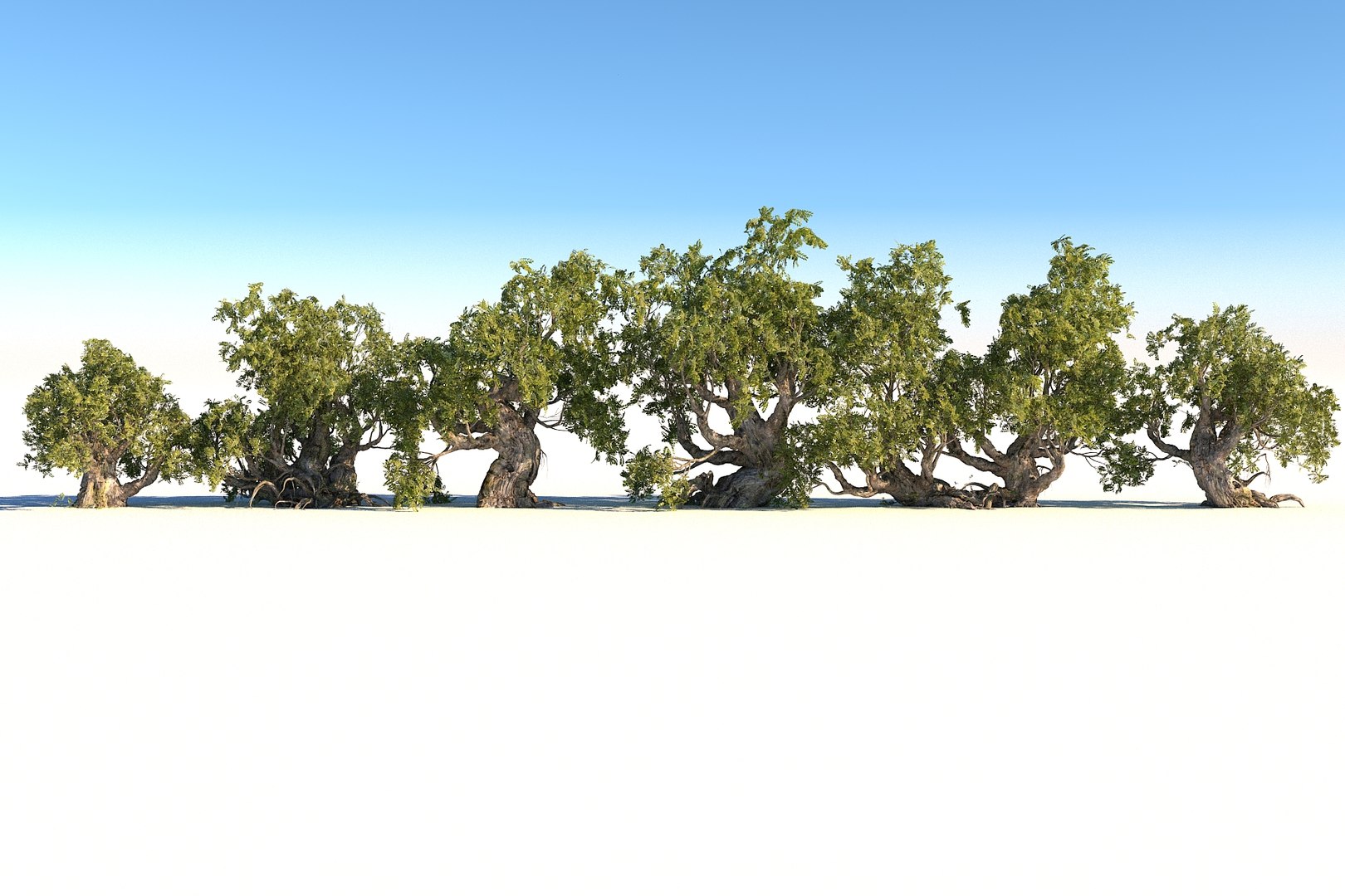 Tree Hd 3D Model - TurboSquid 1529803