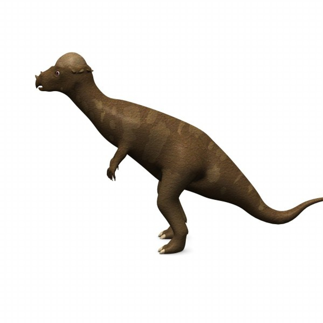 3d pachycephalosaurus