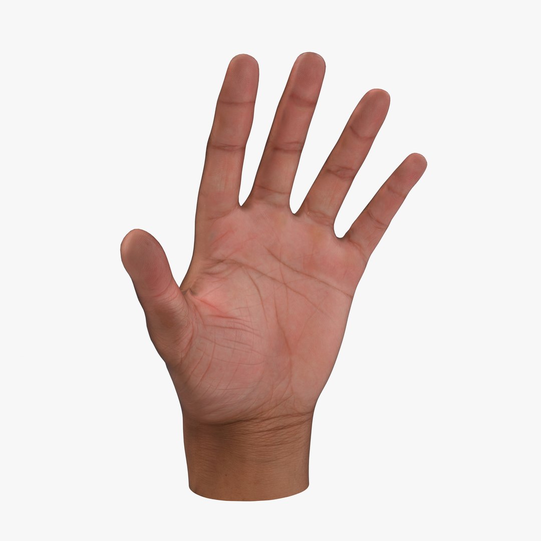 3d hand rigged poses skin