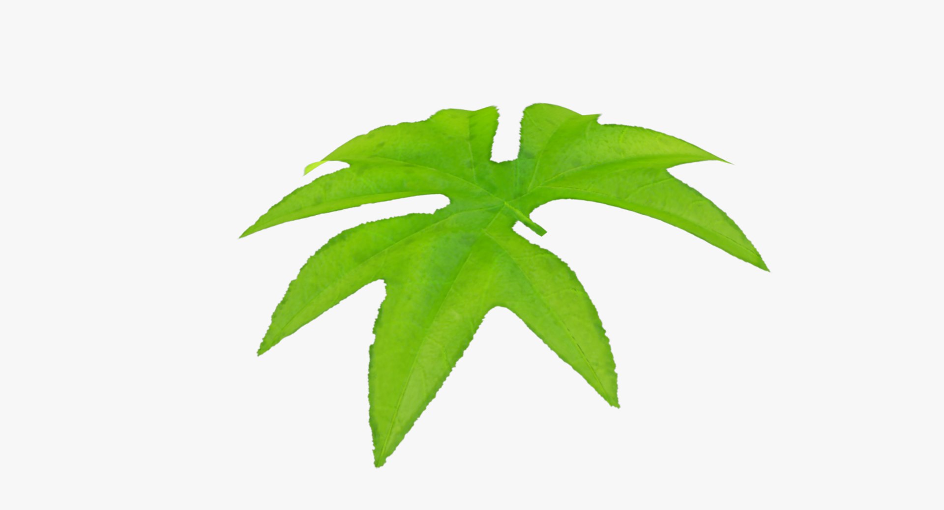 Tree Leaf Model - TurboSquid 1170522
