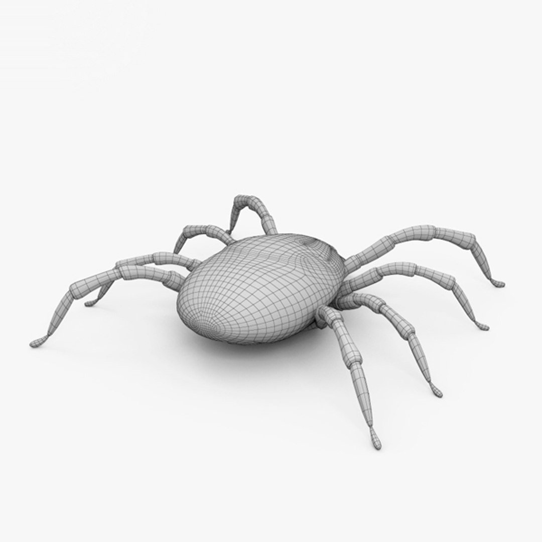 Tick insect animal 3D model - TurboSquid 1575637