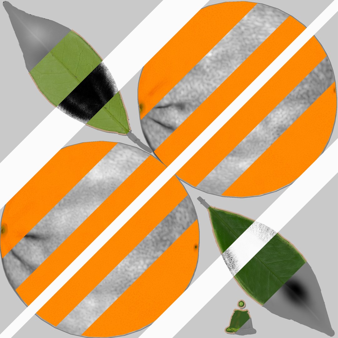 3d Model Orange Slice