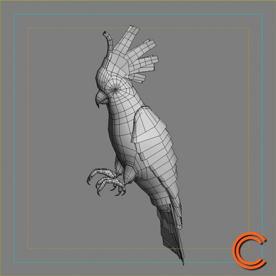 3d Model Parrot Cacatua