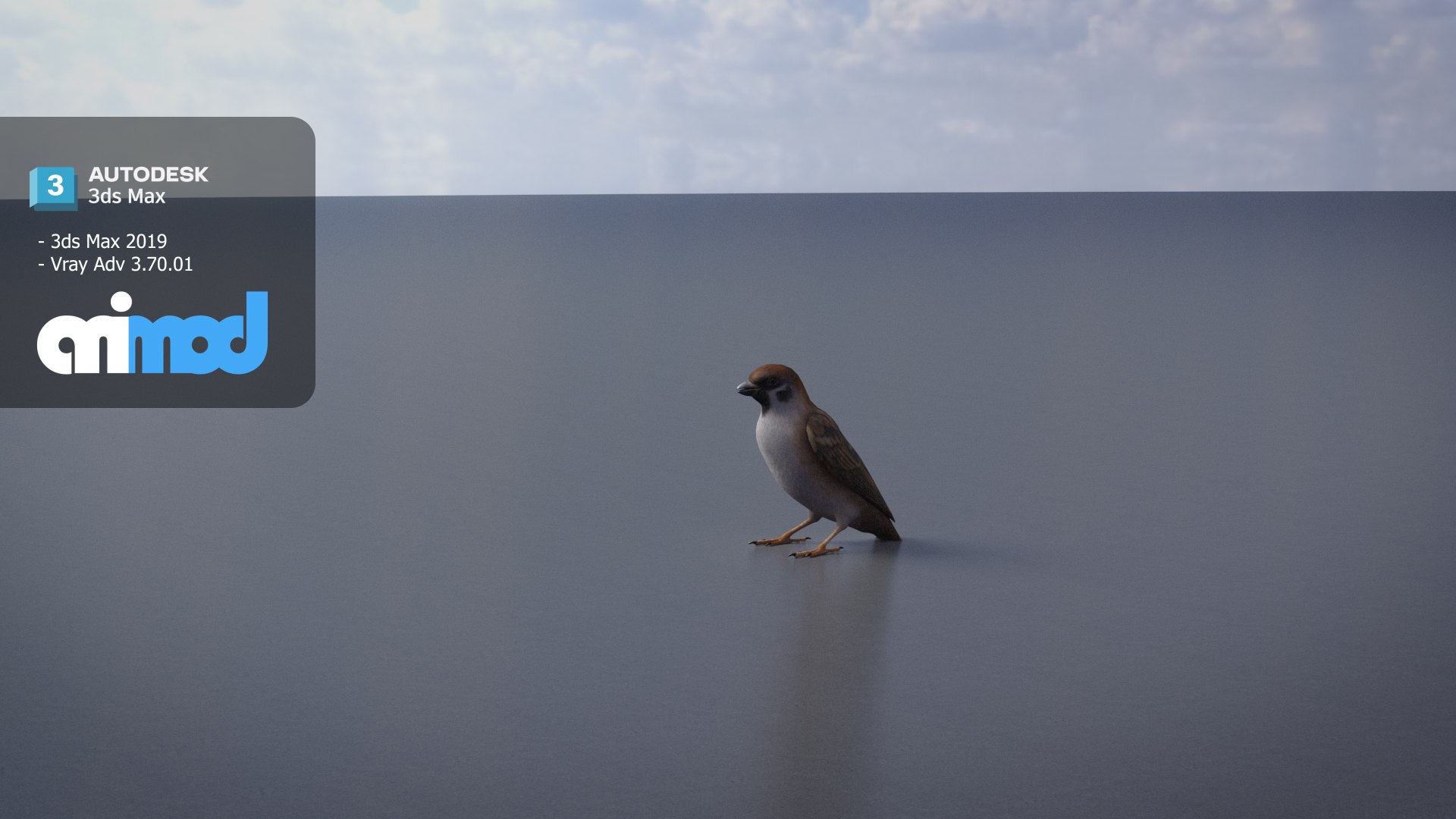 3D Sparrow Model - TurboSquid 2267324