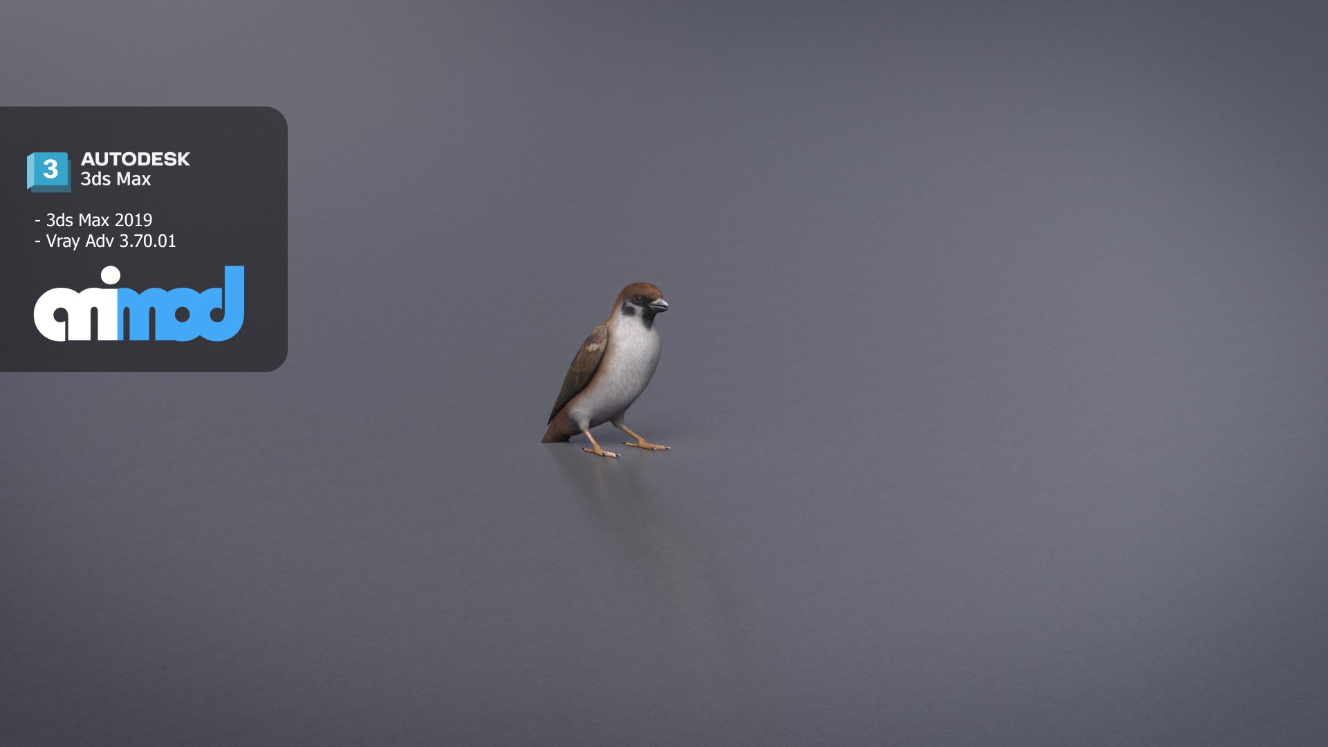 3D Sparrow Model - TurboSquid 2267324