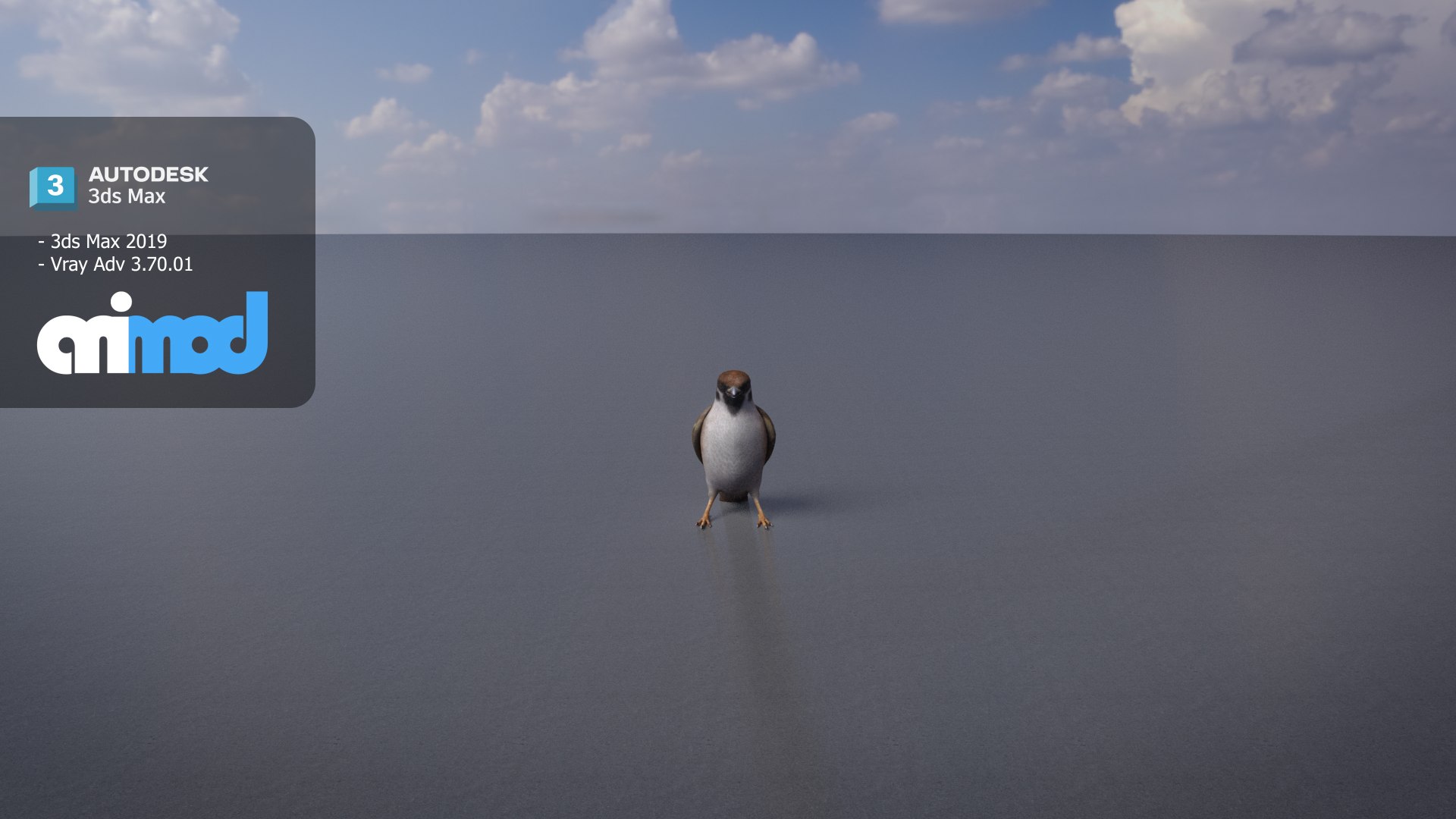 3D Sparrow Model - TurboSquid 2267324