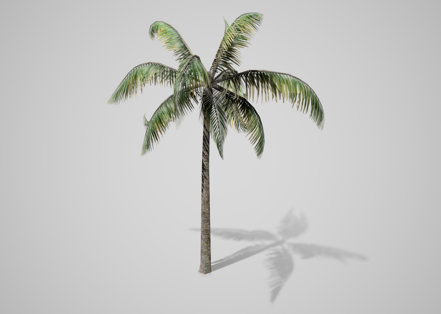 3D palm tree model - TurboSquid 1281624