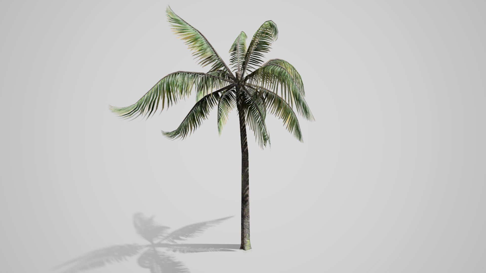 3D palm tree model - TurboSquid 1281624