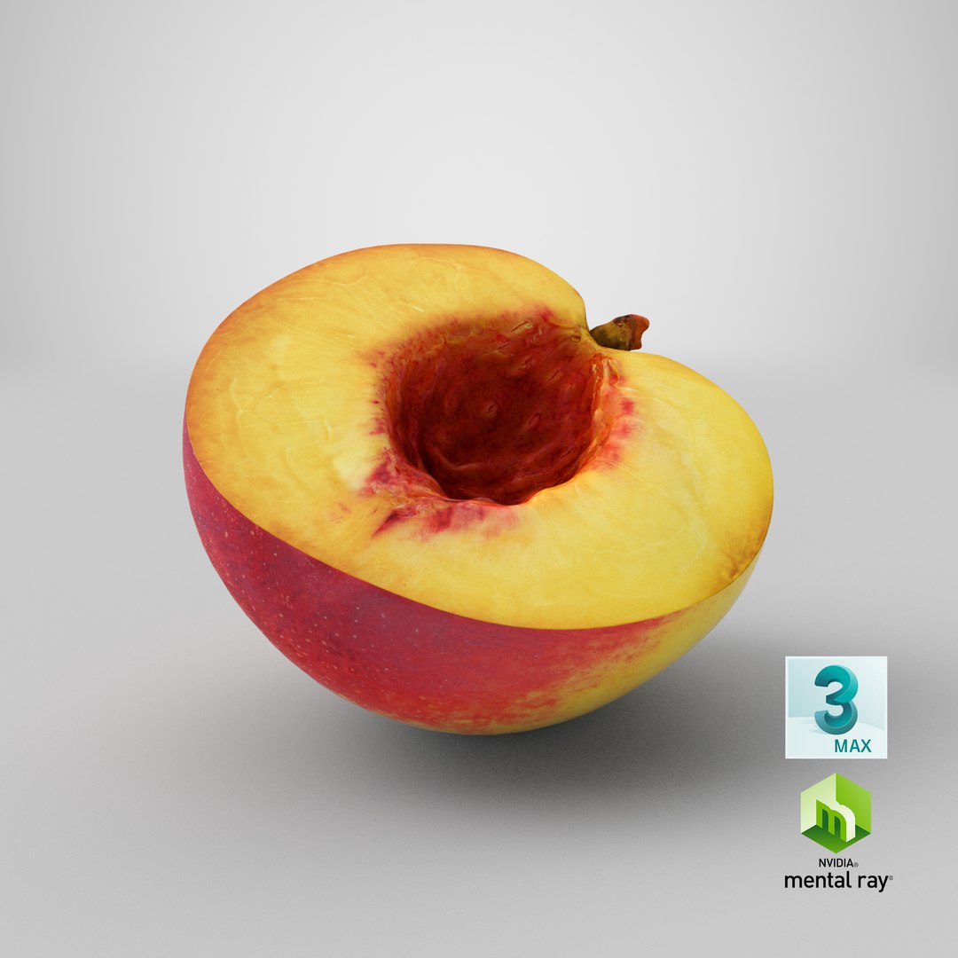 Nectarine 05 cut half 3D - TurboSquid 1505128