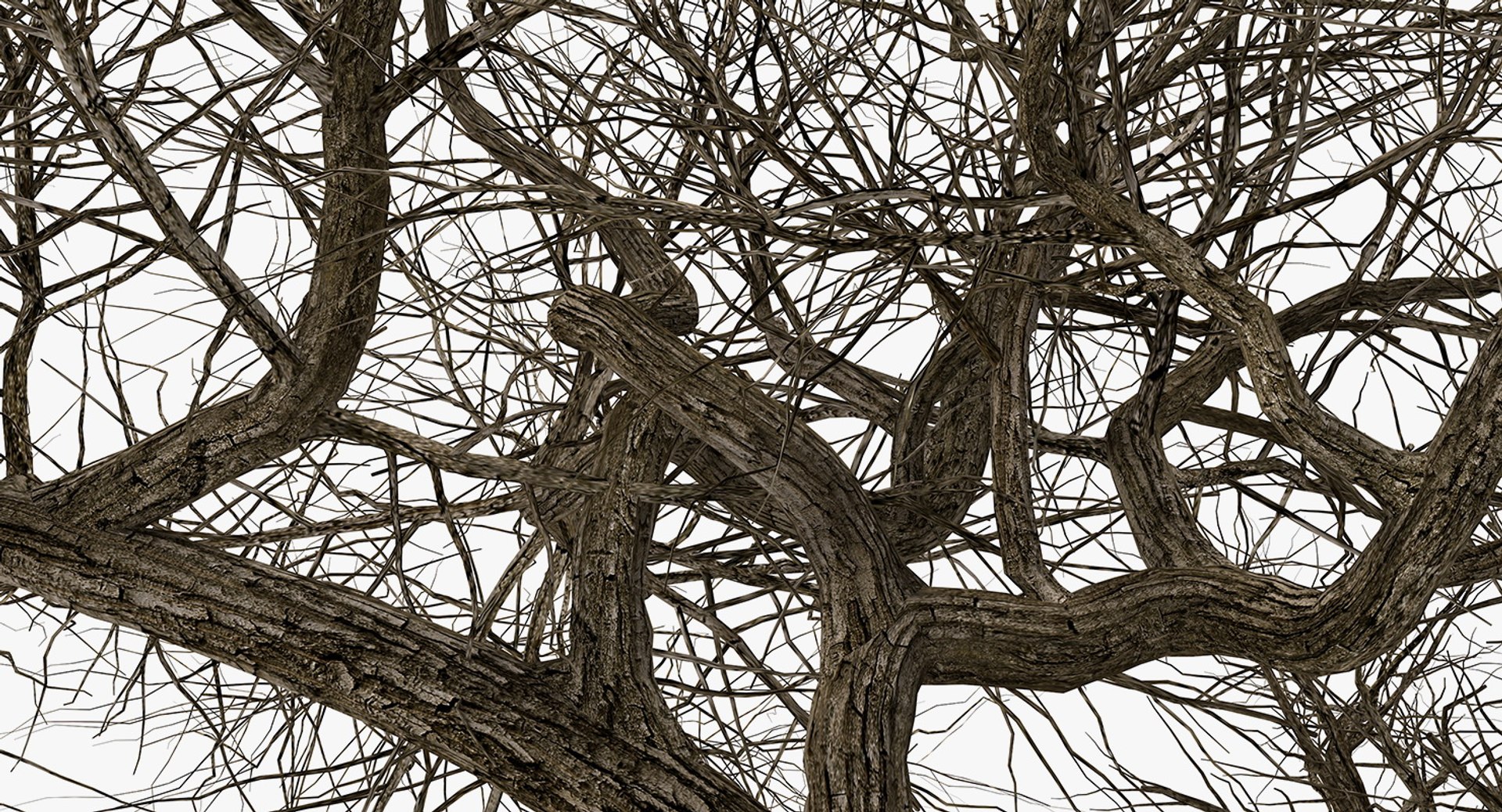 Old winter tree 3D model - TurboSquid 1394314