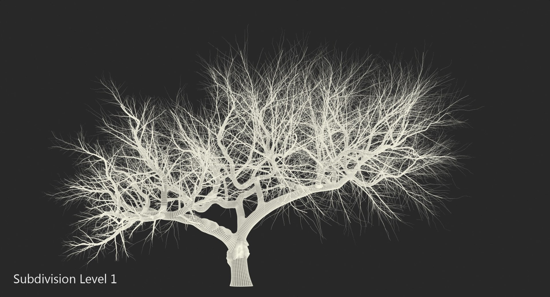 Old winter tree 3D model - TurboSquid 1394314