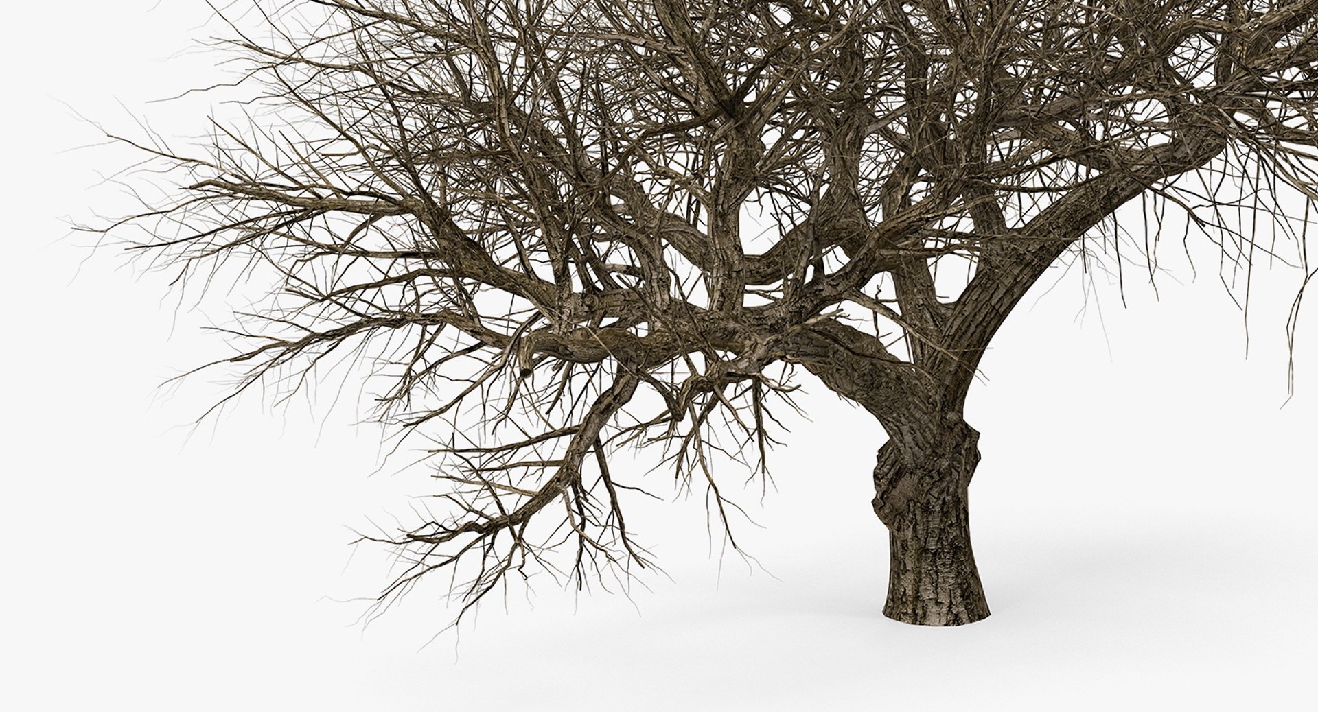 Old winter tree 3D model - TurboSquid 1394314
