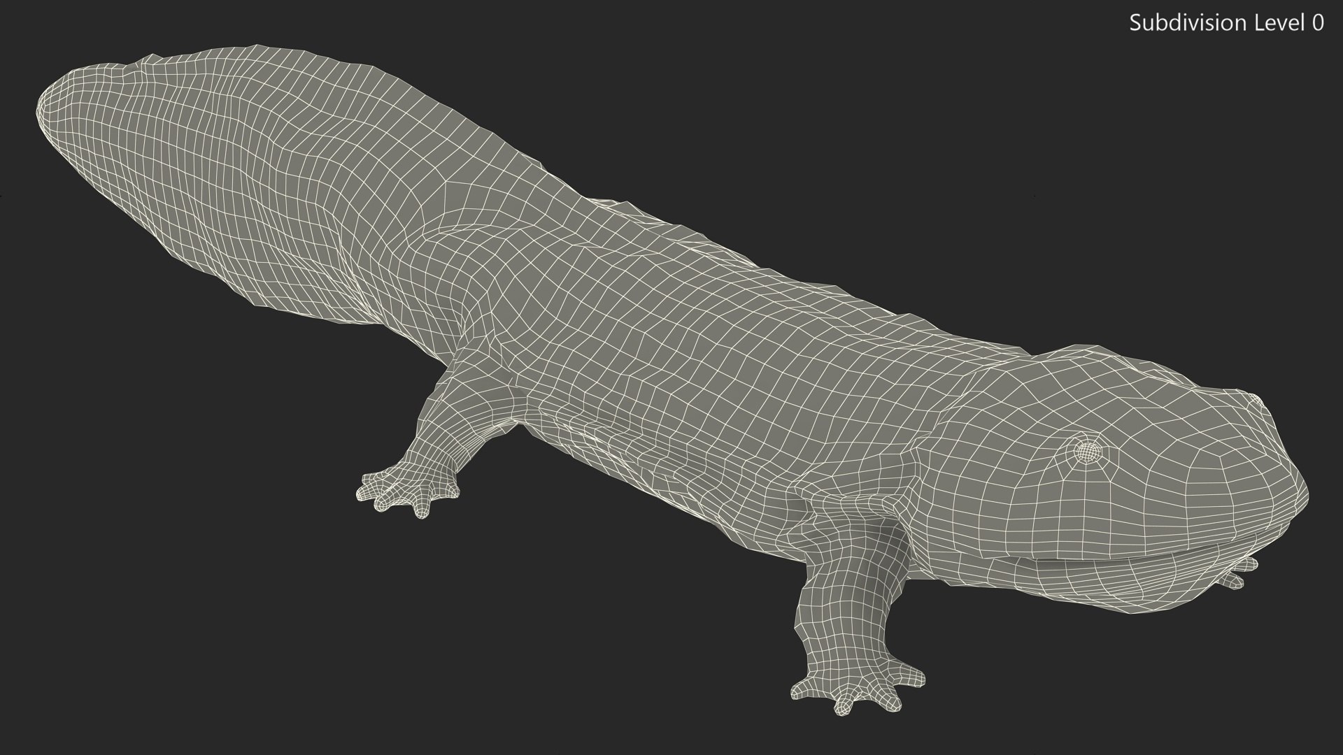 3D Salamander Dark - TurboSquid 2232405