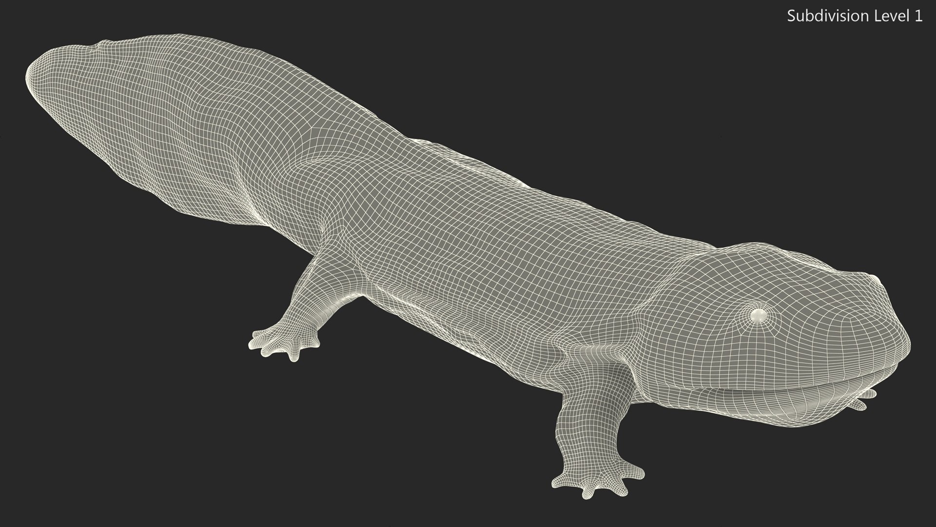 3D Salamander Dark - TurboSquid 2232405
