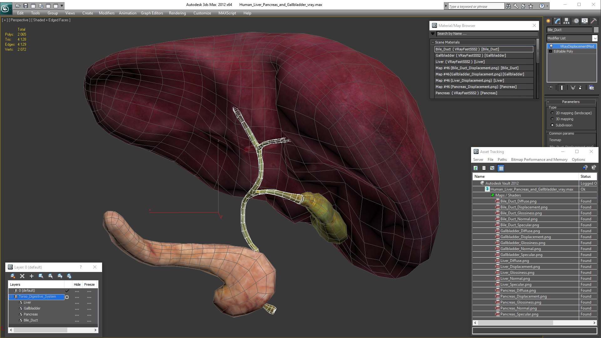 Human liver pancreas gallbladder model - TurboSquid 1461701