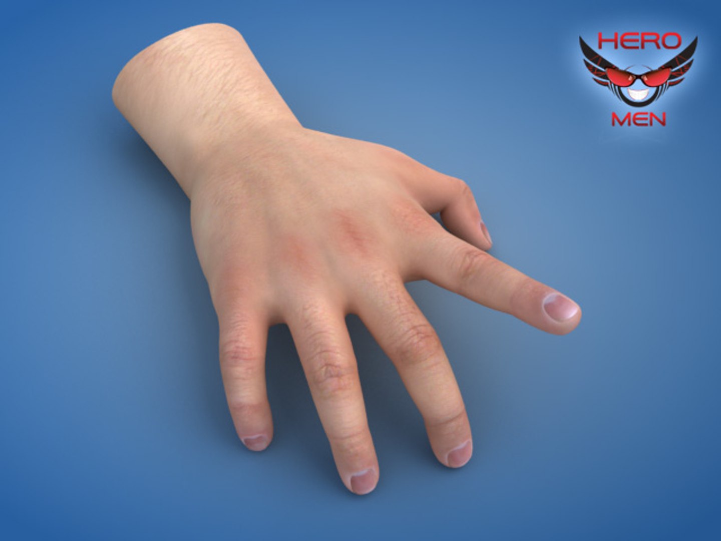 Male Hand 3d Max