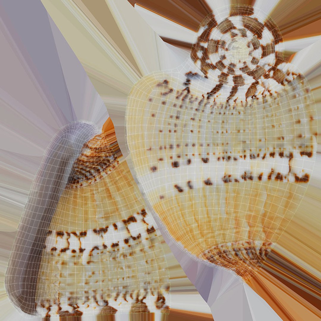 3D Conus Capitaneus - TurboSquid 2095816